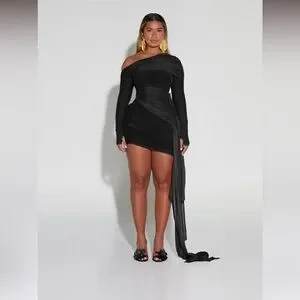 Dresses | Bbx Brand Black Mini Dress Verella Mesh Mini Panther | Poshmark